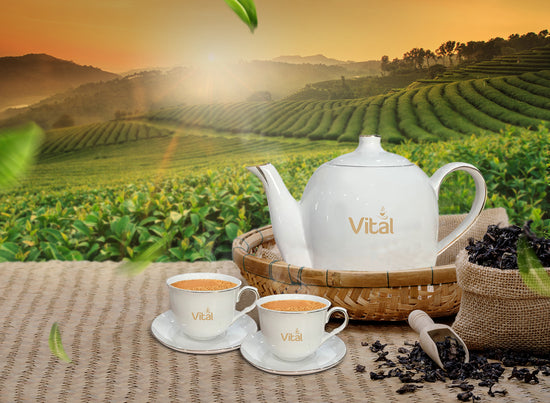 World of Premium Blends at Our Online Tea Emporium – Vital Shop